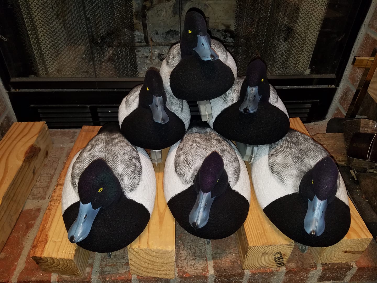 Blue Bill Decoy Flocking Kit – Flocking Unlimited