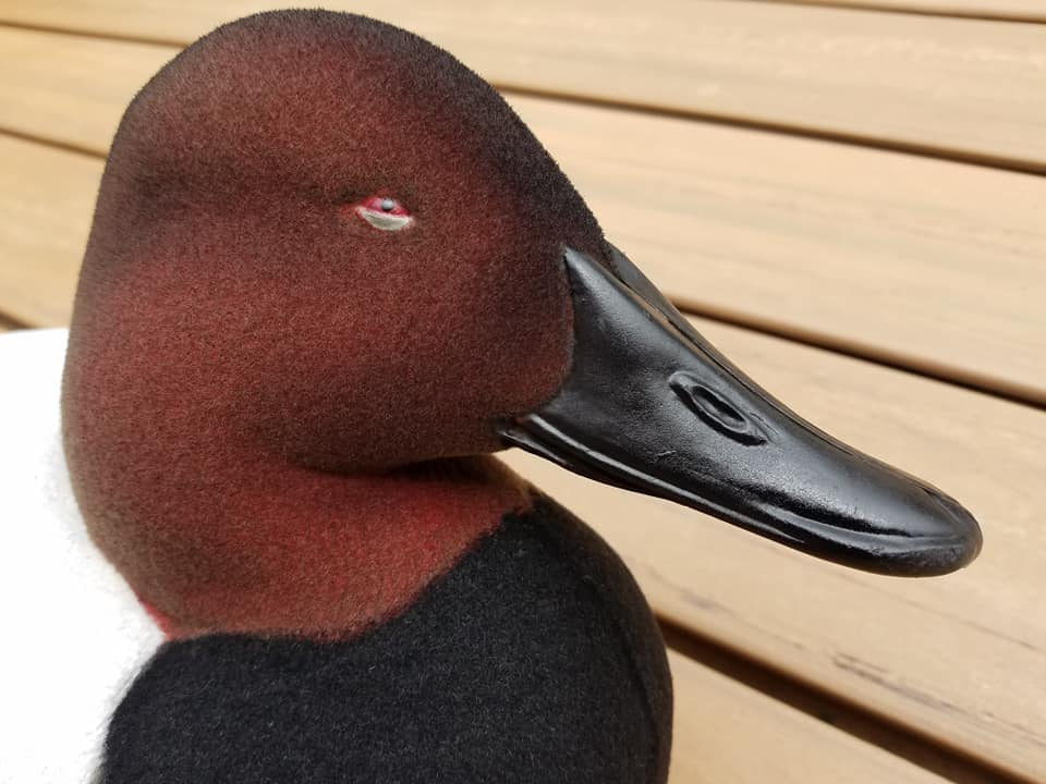 Bull Canvasback Full Body Decoy Flocking Kit – Flocking Unlimited