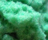 Green Flocking Color Pack – Flocking Unlimited